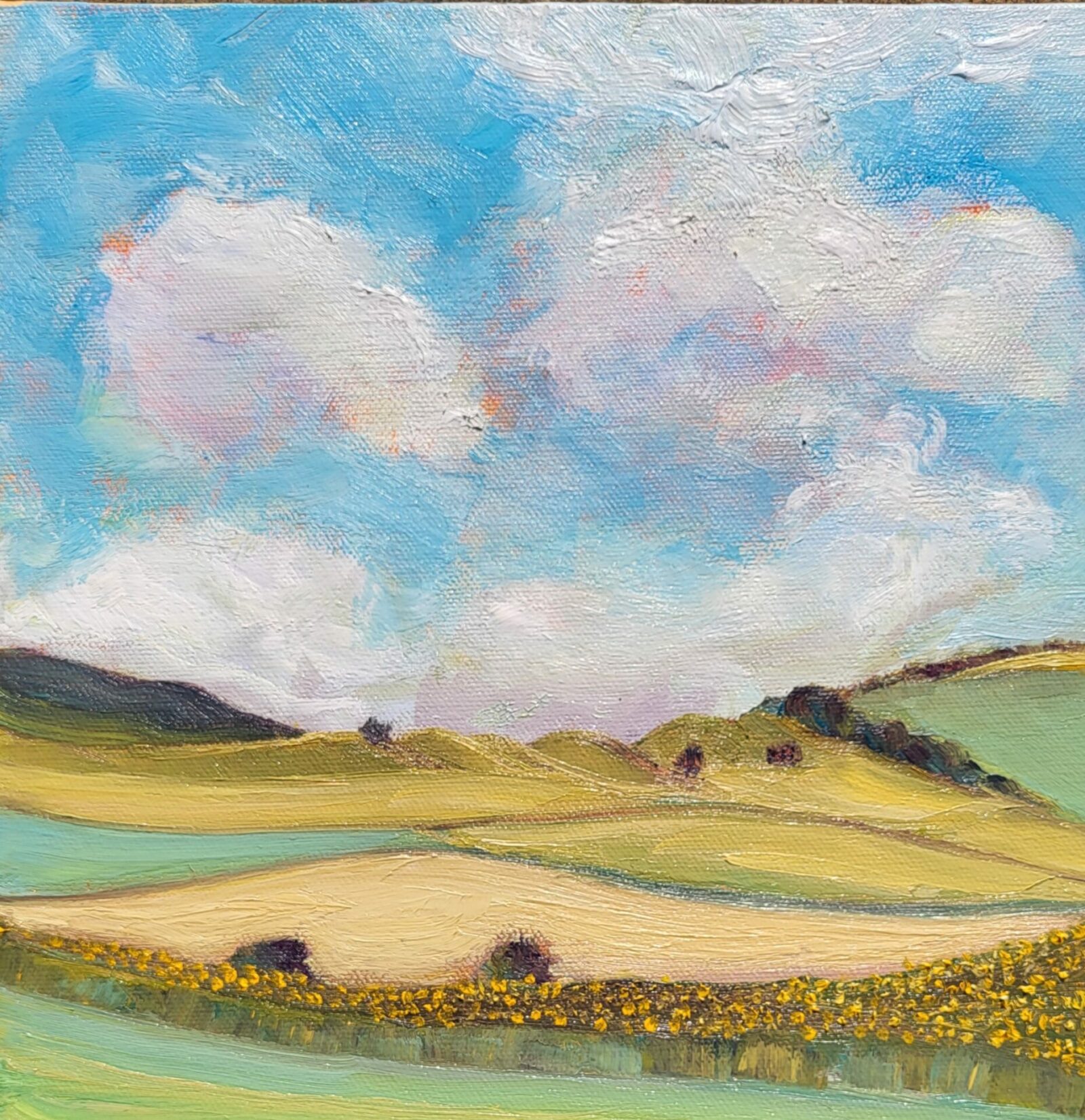 Art in the Sunflowers – The Paintings – Art in Poundbury